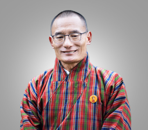 PDP - People's Democratic Party